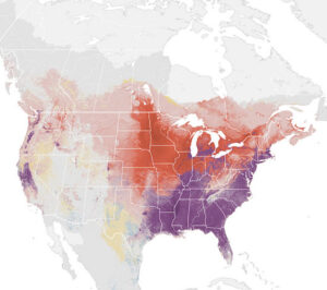 Bird Range Maps: Trustworthy Resources And Interactive Maps