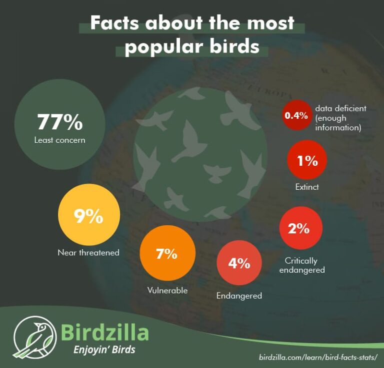 Bird Facts & Stats (With Infographics) [2024] 101+ Facts