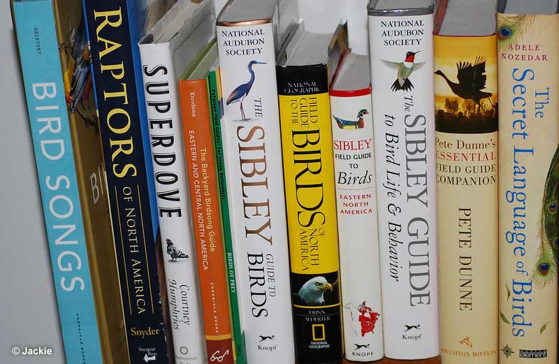 Books About Birding & Birds: Every Birder's Must-Reads