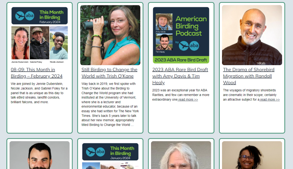 Best Birding Podcasts (And Interviews With Hosts) for 2024