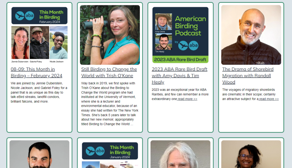 Best Birding Podcasts (And Interviews With Hosts) for 2024