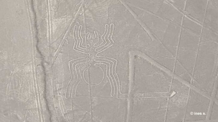 Nazca Lines Hummingbird Depiction: How Old Is It?