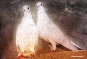 Birds In The Bible: Holy Birds & The Symbols Behind Them