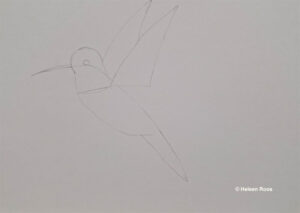 How To Draw Hummingbirds: A Step By Step Guide [With Pictures]