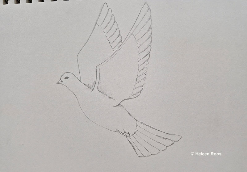 How To Draw Birds: A Step By Step Guide (With Different Options)