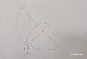 How To Draw Birds: A Step By Step Guide (With Different Options)
