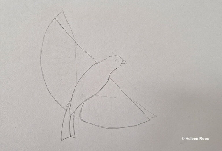 How To Draw Birds: A Step By Step Guide (With Different Options)