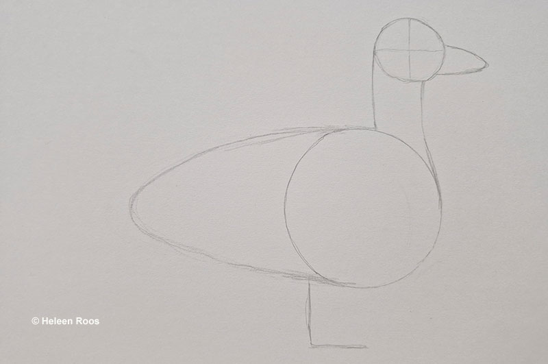 How To Draw Birds: A Step By Step Guide (With Different Options)