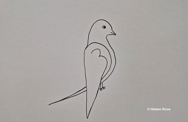 How To Draw Birds: A Step By Step Guide (With Different Options)