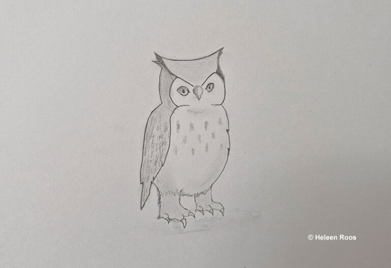 How To Draw Birds: A Step By Step Guide (With Different Options)