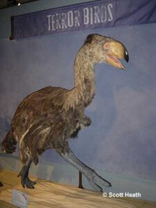Ancient Prehistoric Bird Predecessors That Have Gone Extinct